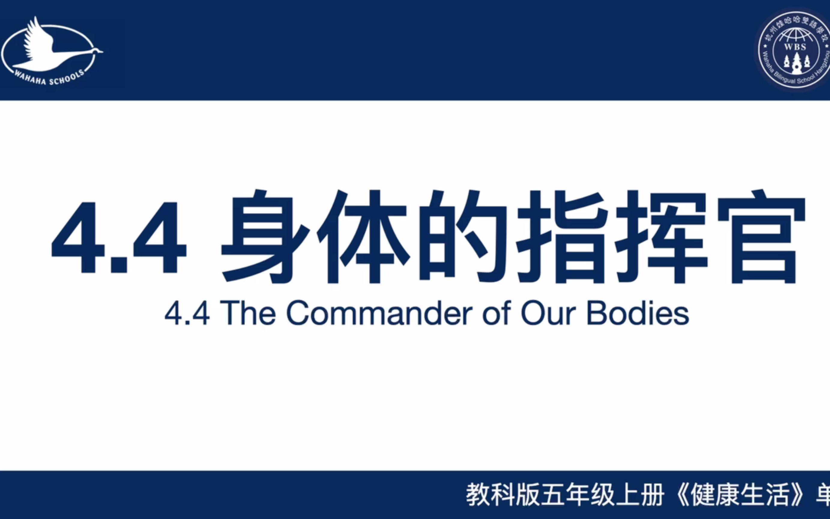 教科版五年级上册 4.4 身体的指挥官 微课