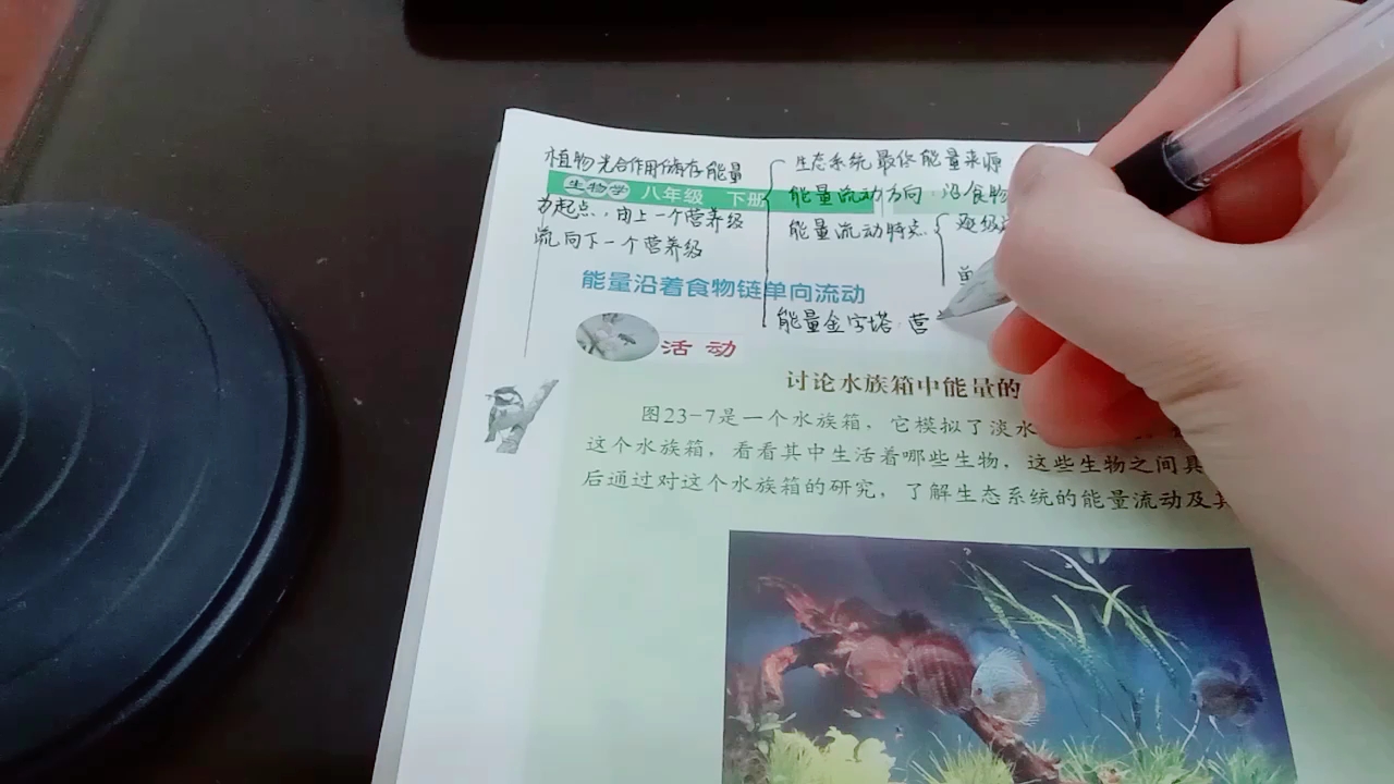 生态系统的结构与功能2