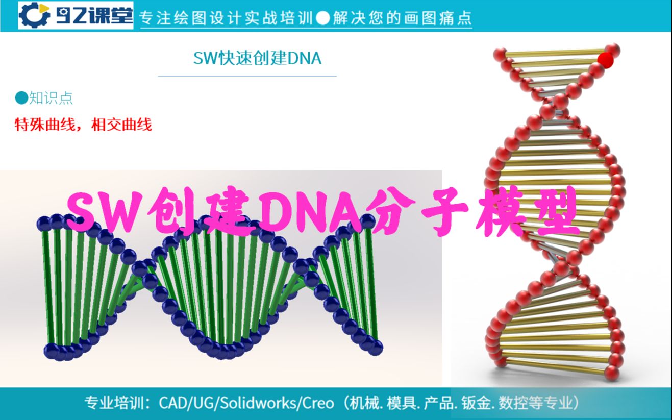 SW快速创建DNA分子结构