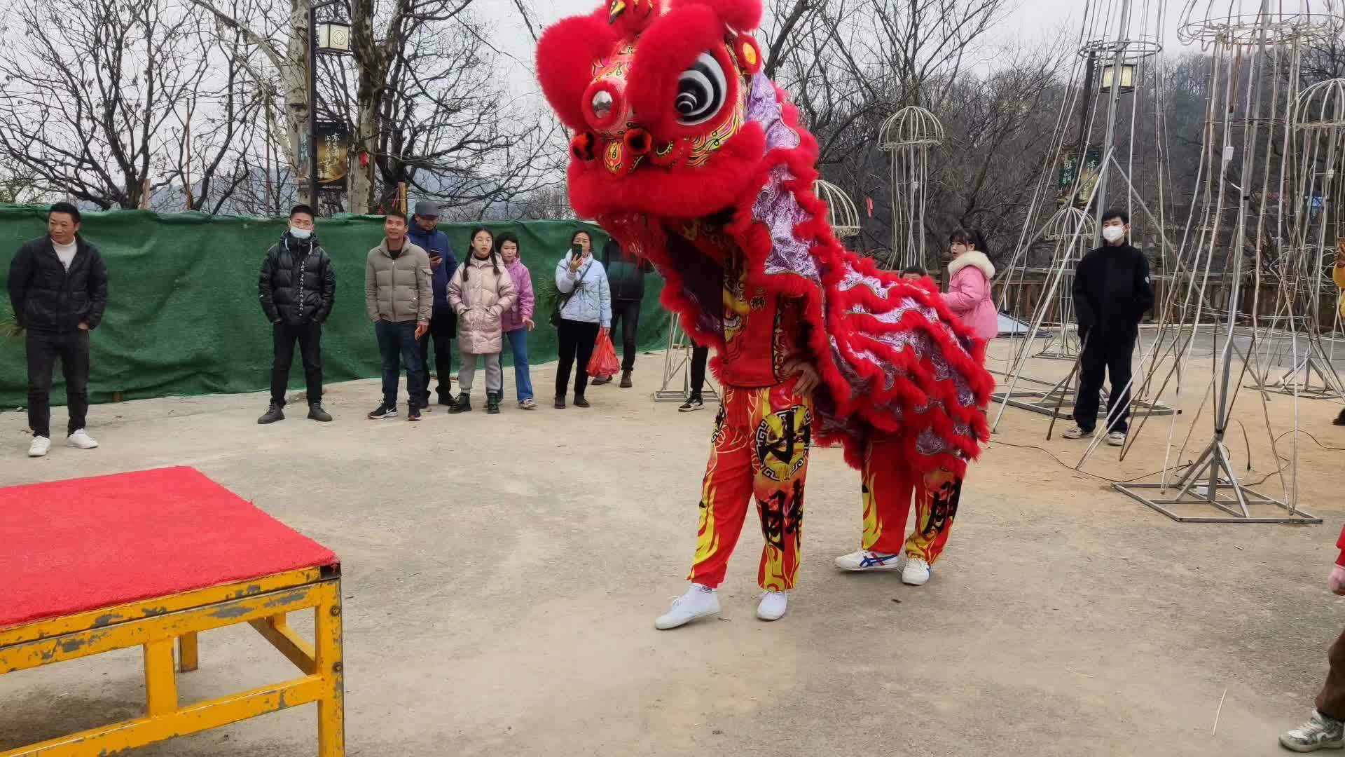 民间耍狮,舞龙!
