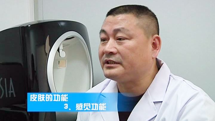 皮肤都有哪些功能,对身体都有哪些作用