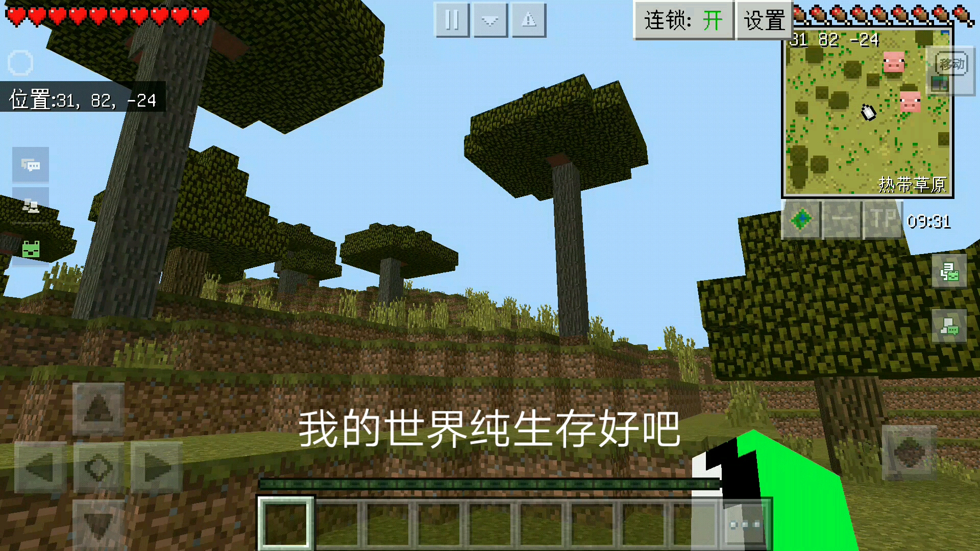 我的世界纯生存1_我的世界
