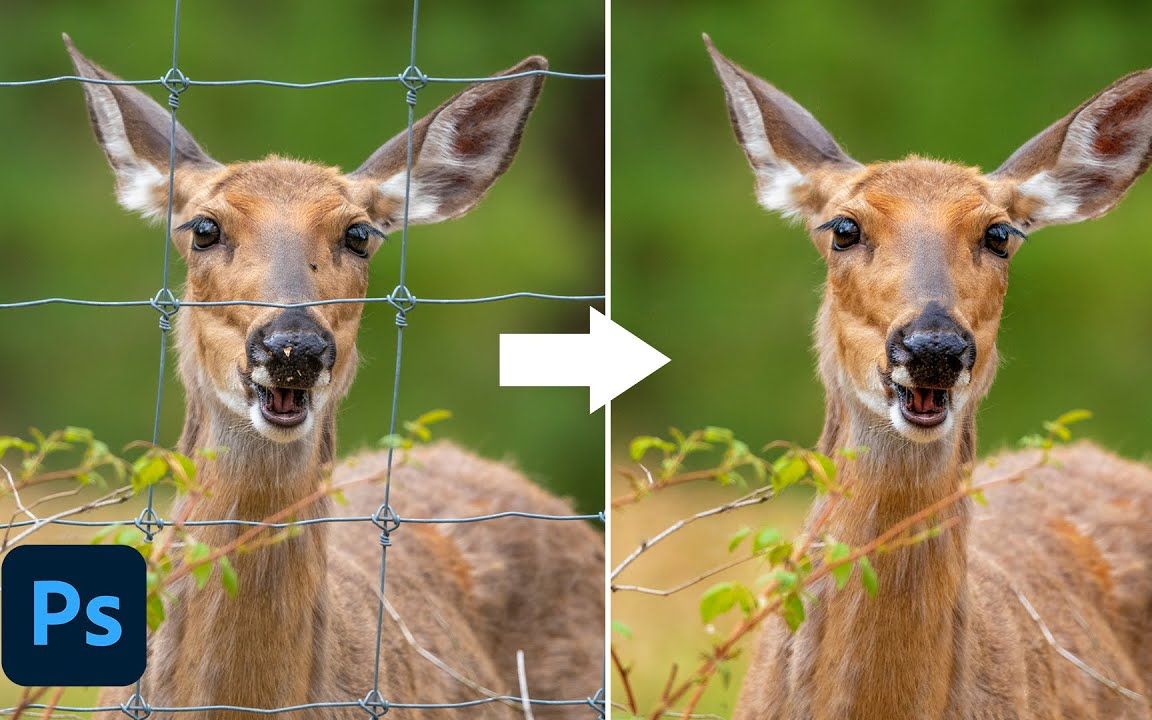 【PS教程】快速去除图片表面的遮挡物