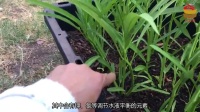 缺钙的人别乱吃,远离这种东西,身体更易吸收钙,早知早受益!