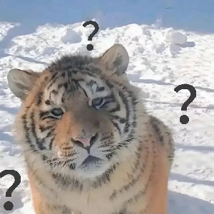 老开哥名字都敢抢 