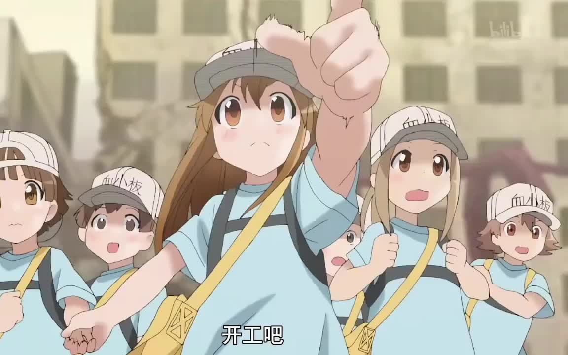 工作细胞之血小板凝血