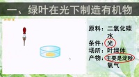 初中_生物_光合作用实验篇