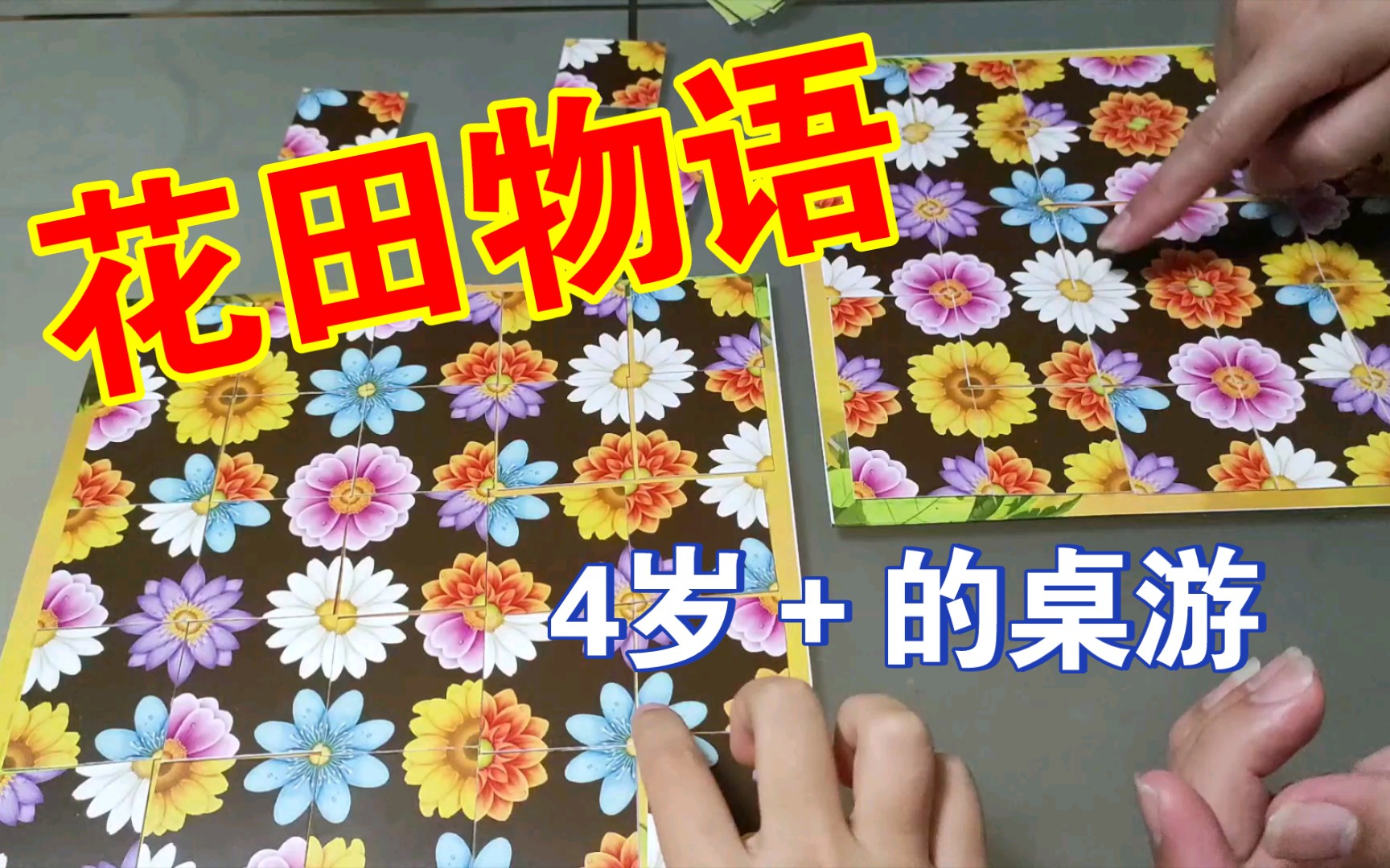 [儿童桌游]花田物语 和 设计师华哥