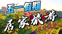五一假期旅游走起:居家旅游行程单,玩出你的假期综合征