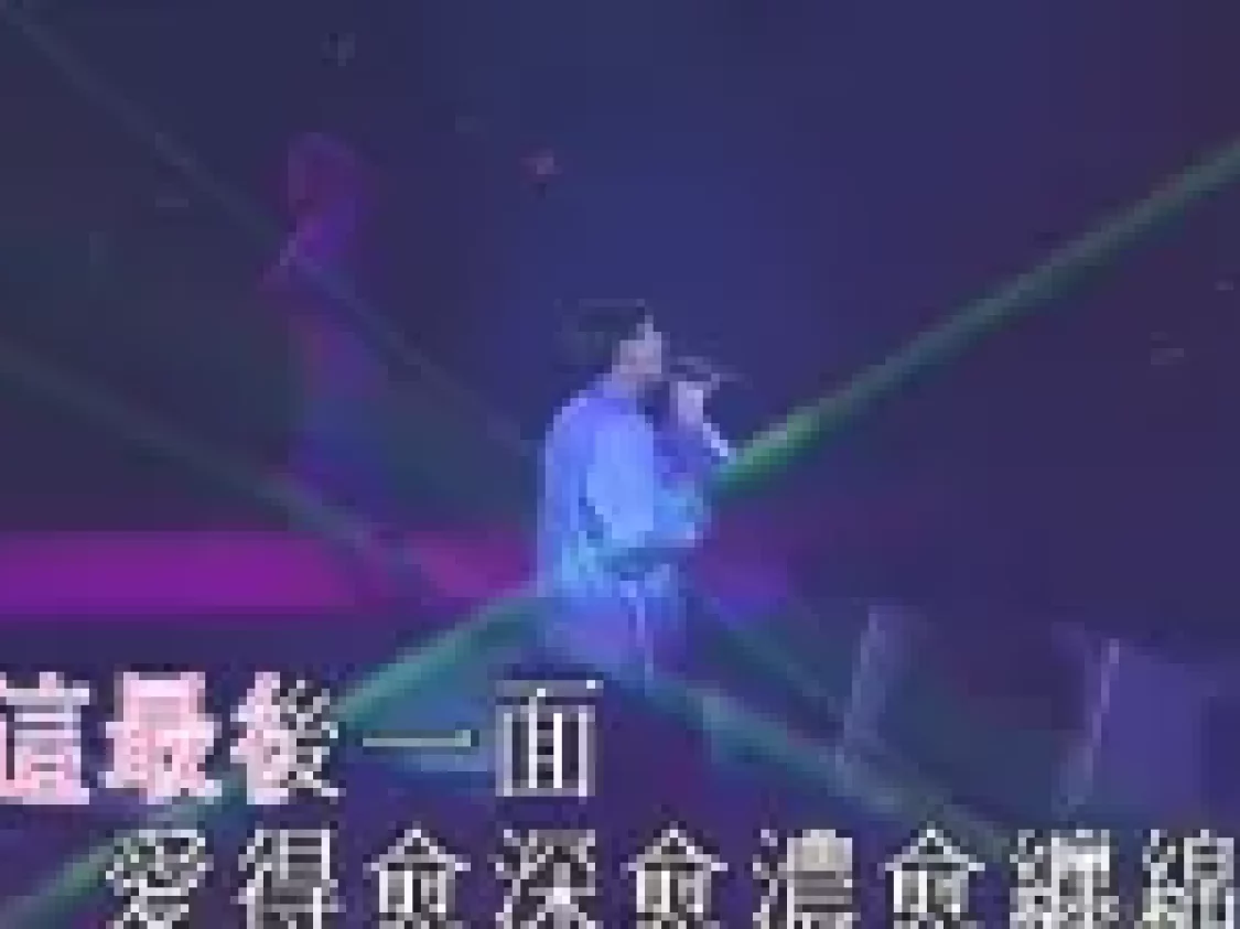 刘德华94真我的风采演唱会(高清)