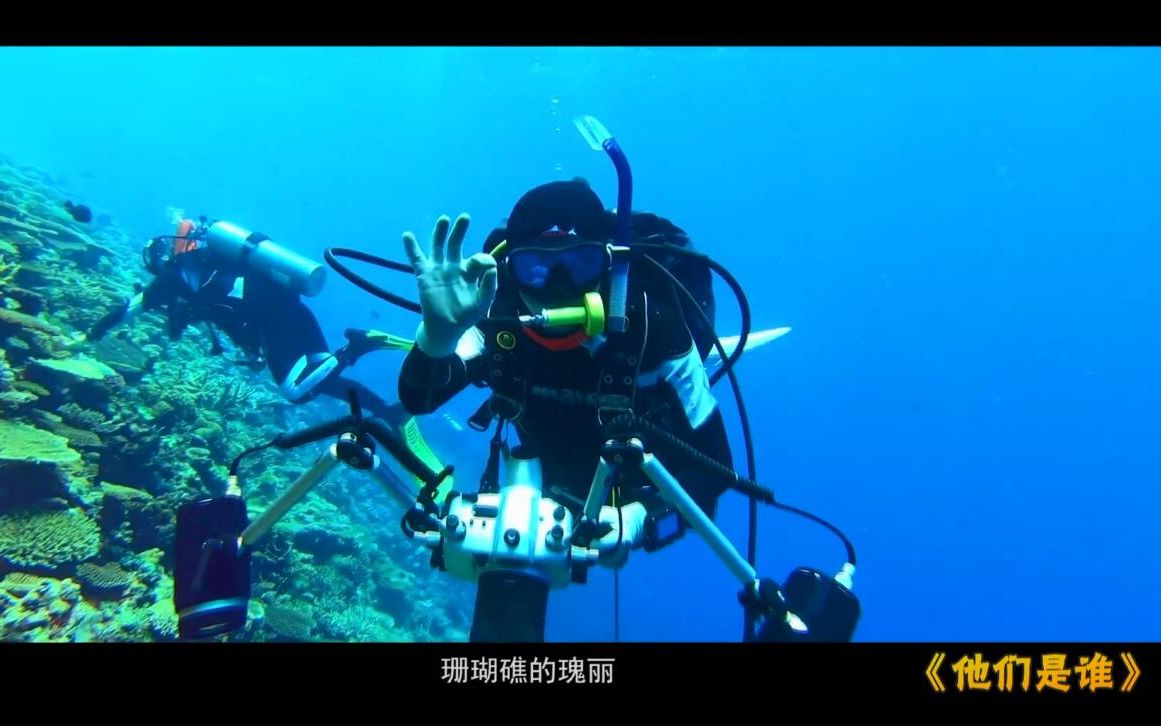《他们是谁》——新中国成立70周年“珍惜自然资源、建设美丽中国”...