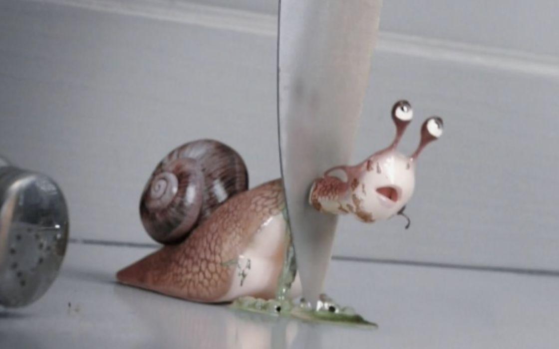 五只蜗牛误入人类厨房,结果遭遇飞来横祸,死得一个比一个惨!