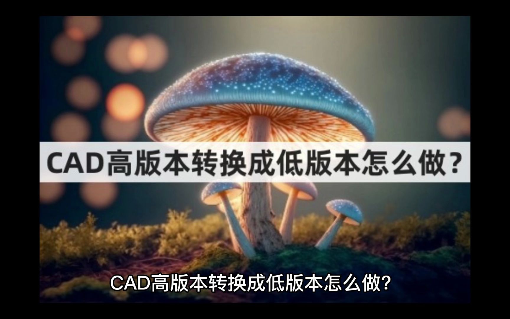 CAD高版本转换成低版本怎么做?快速转换CAD版本的方法在这
