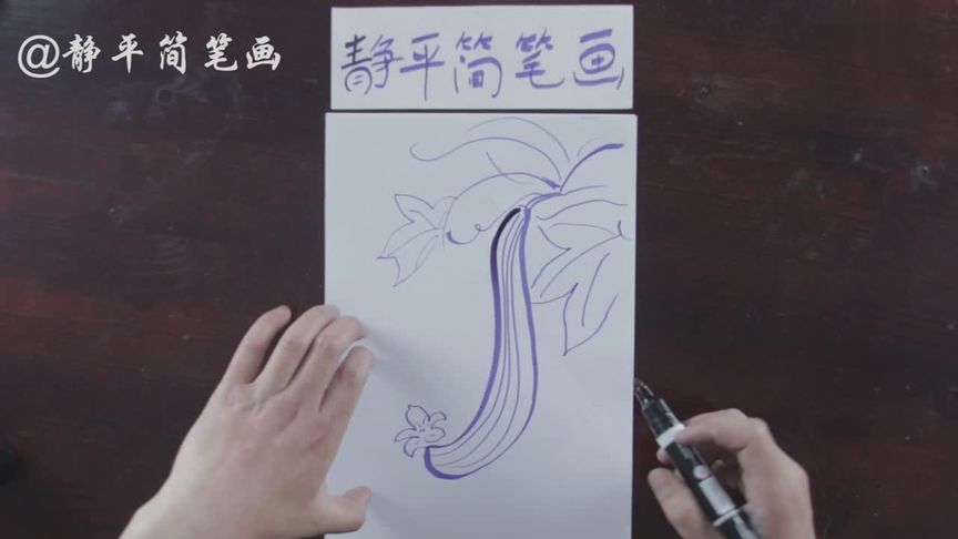 丝瓜简笔画教程,非常简单实用,快来跟我一起学习吧
