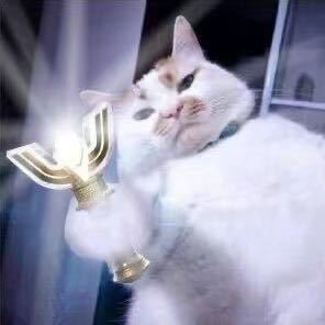 佬蔡Skr狠人 