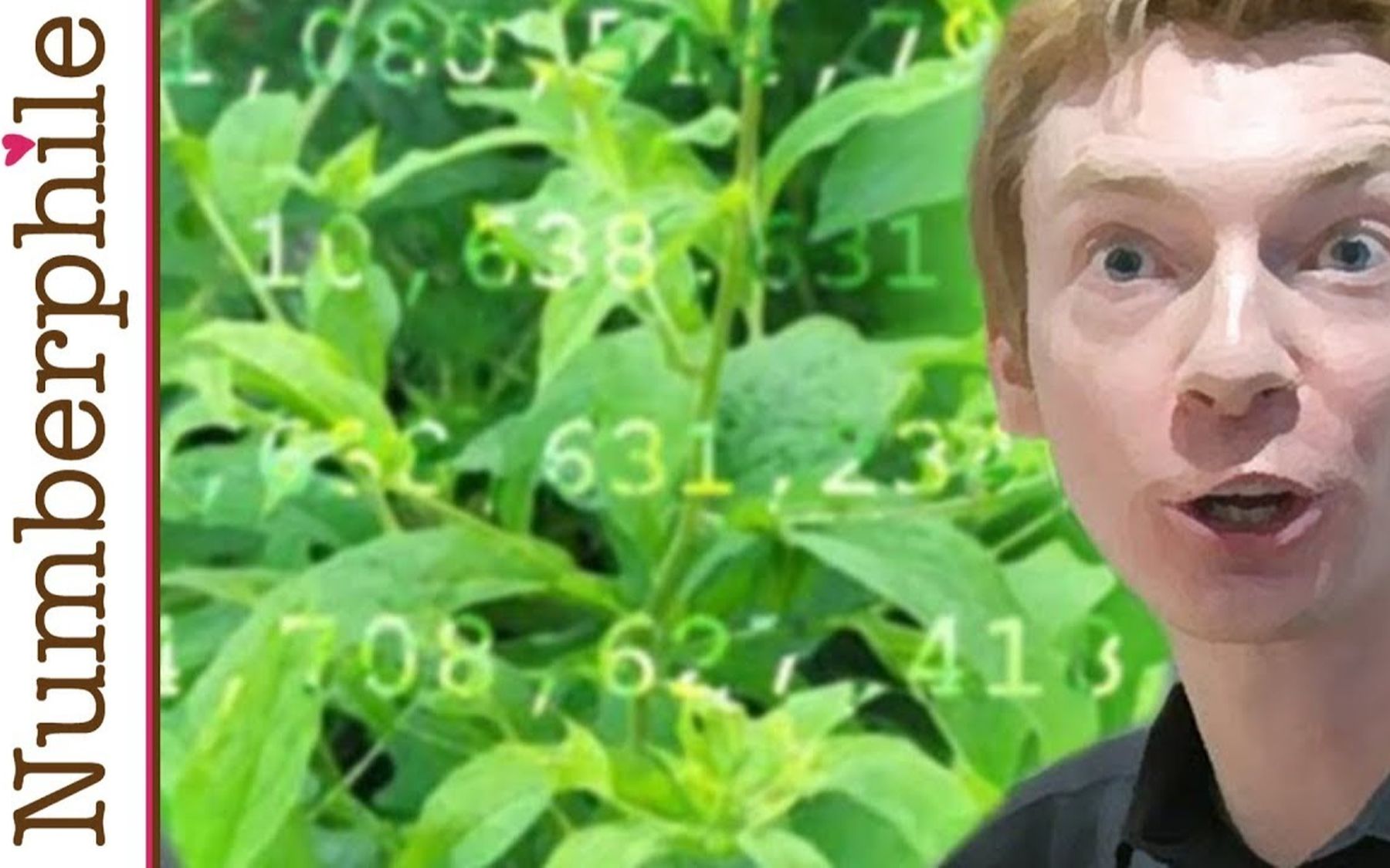 素数的分布秘密:素数定理(PNT)- Numberphile