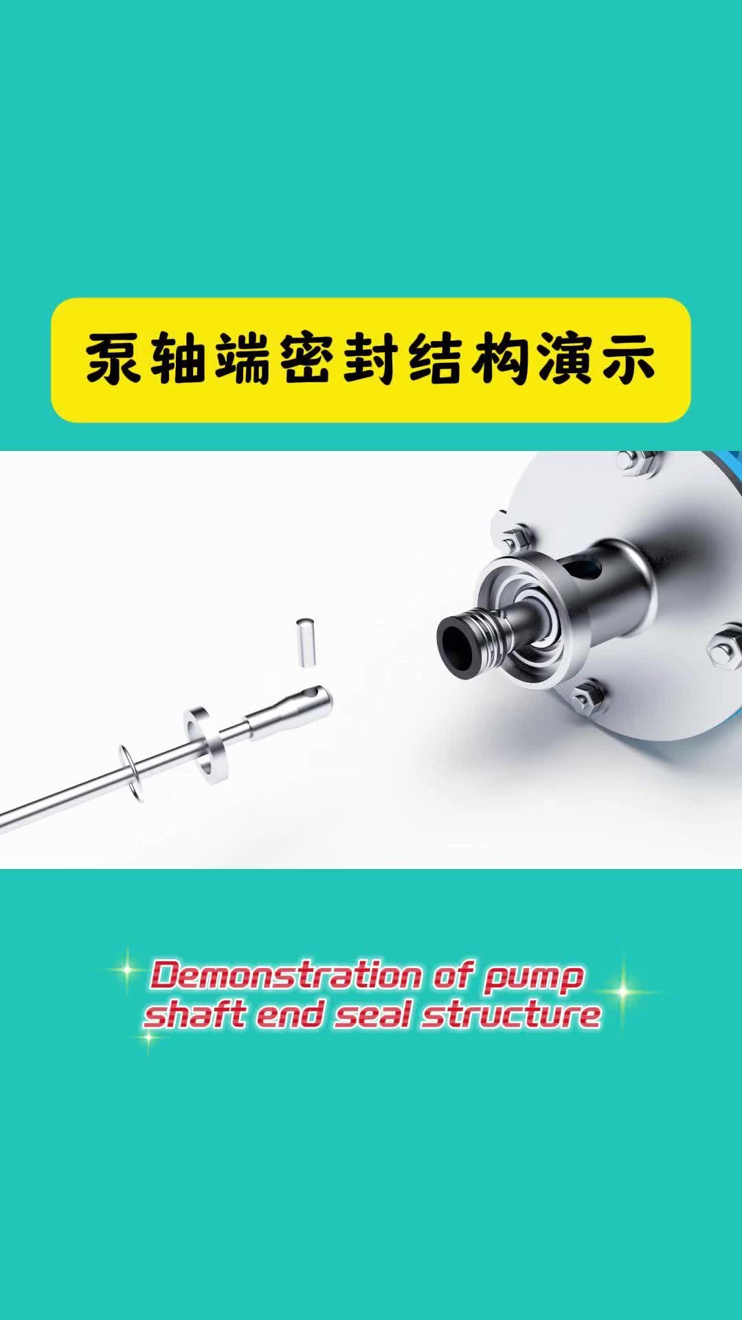 泵轴端密封结构演示