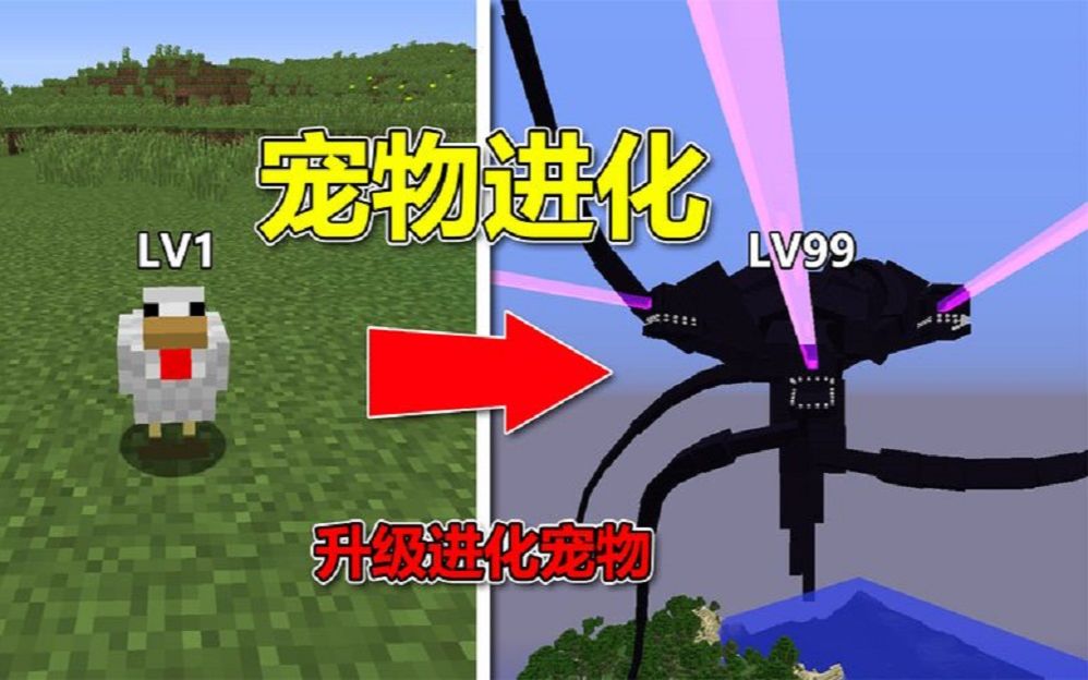 我的世界:宠物进化,每升3级进化一次!最后进化成凋零风暴?