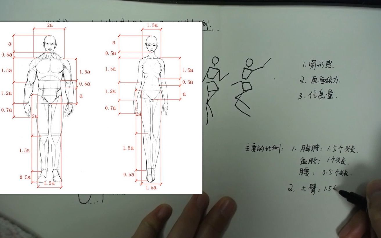 【手绘漫画】b站最详细的火柴人教程,教你用最简单的方法学会画人体