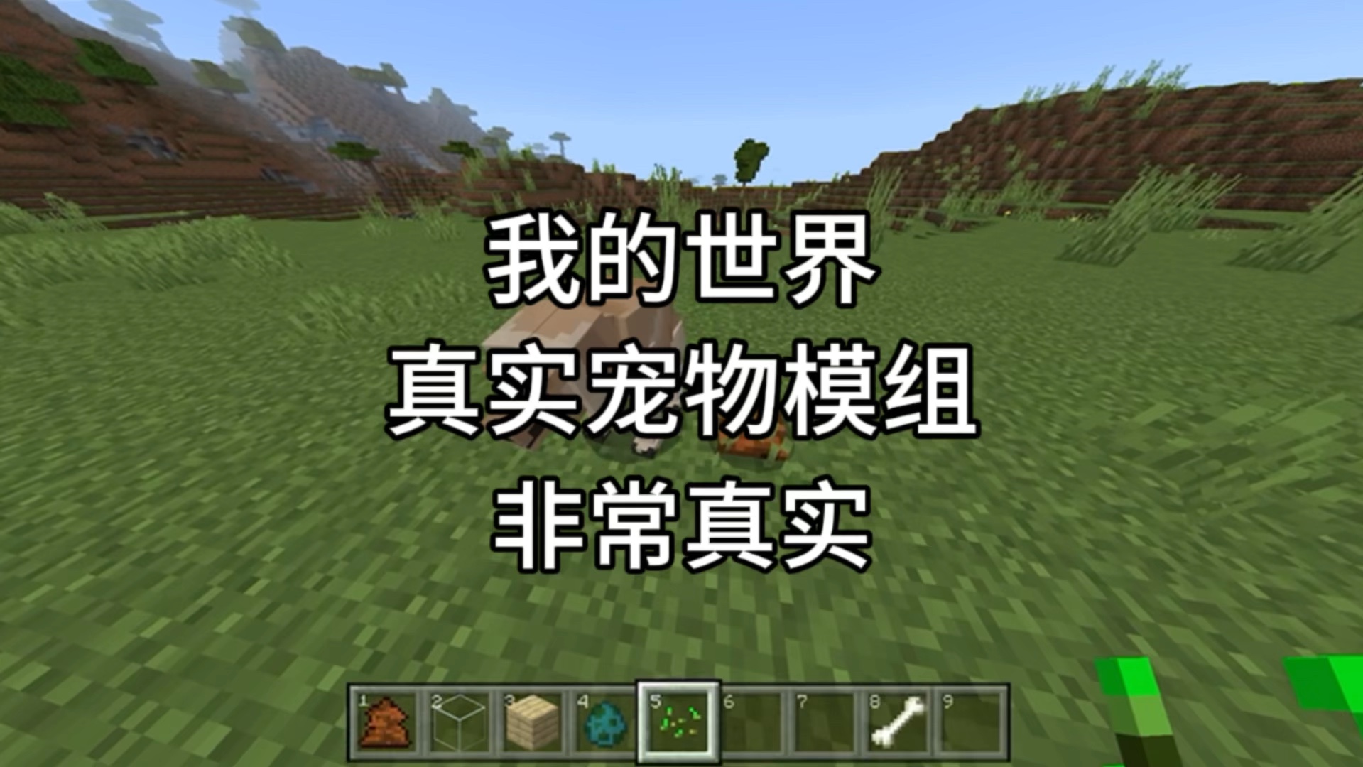 我的世界:网易最“真实”的宠物模组
