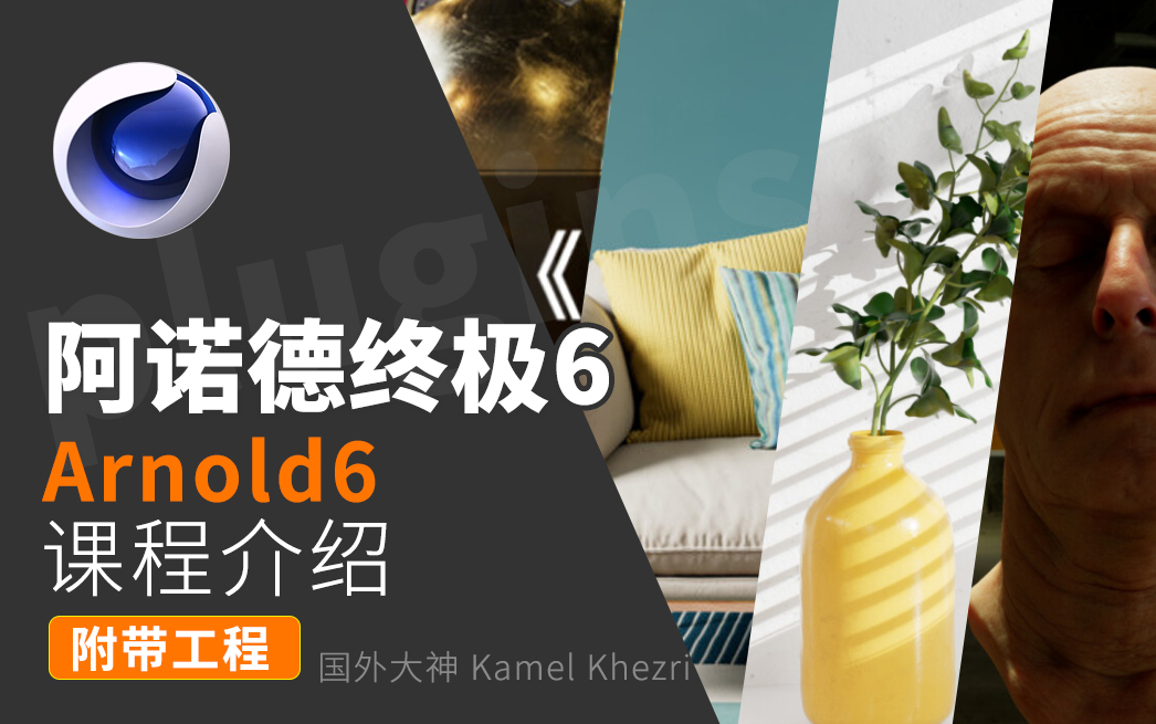 《c4d Arnold6阿诺德渲染器终极指南》The Ultimate Introduction to ...