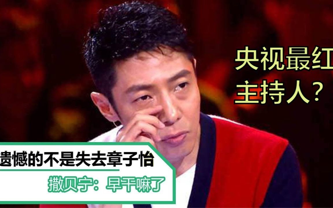 “央视顶流”撒贝宁:这一生最大的遗憾并不是失去章子怡?