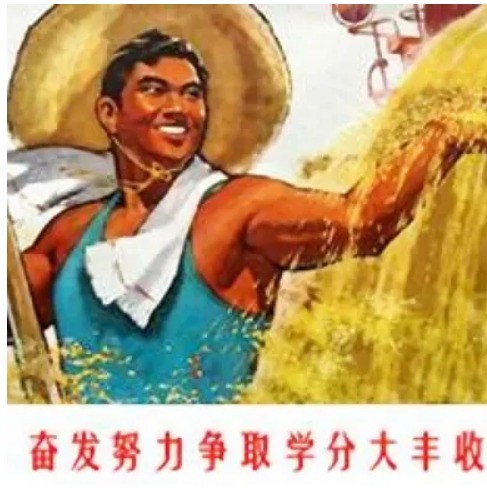 密密麻麻红红 