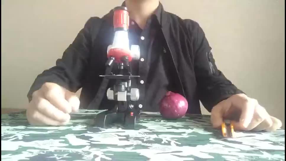 ...实验1200的显微镜下看洋葱的表皮细胞,看看放大12000倍的洋葱表皮...