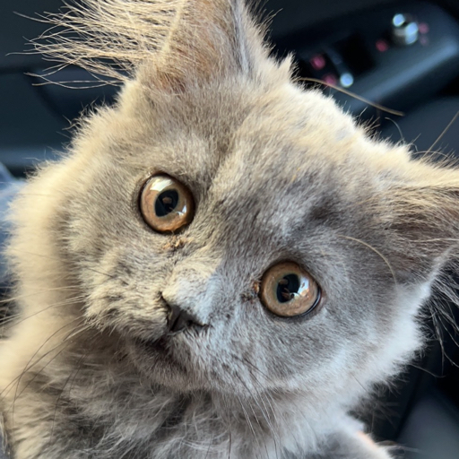 一个不安全的黑客 