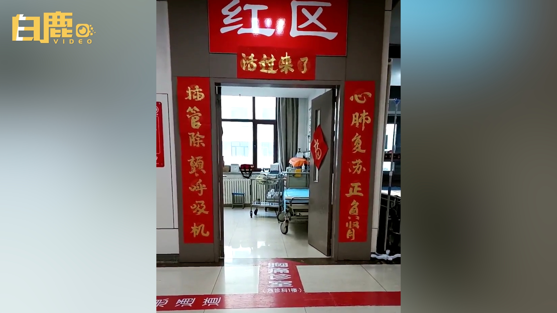 医院春联横批写活过来了引好评 网友:是家属最大的心愿