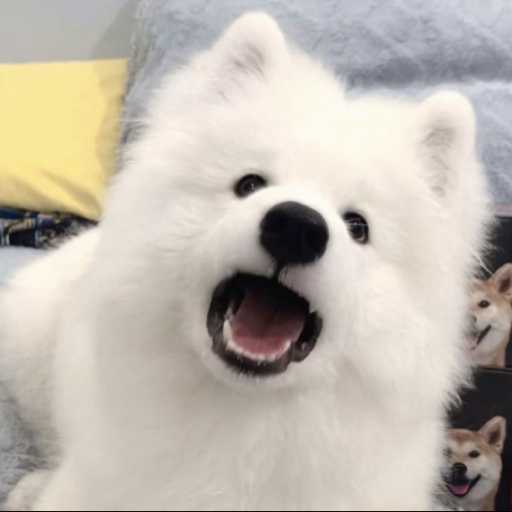 Pylogmon 