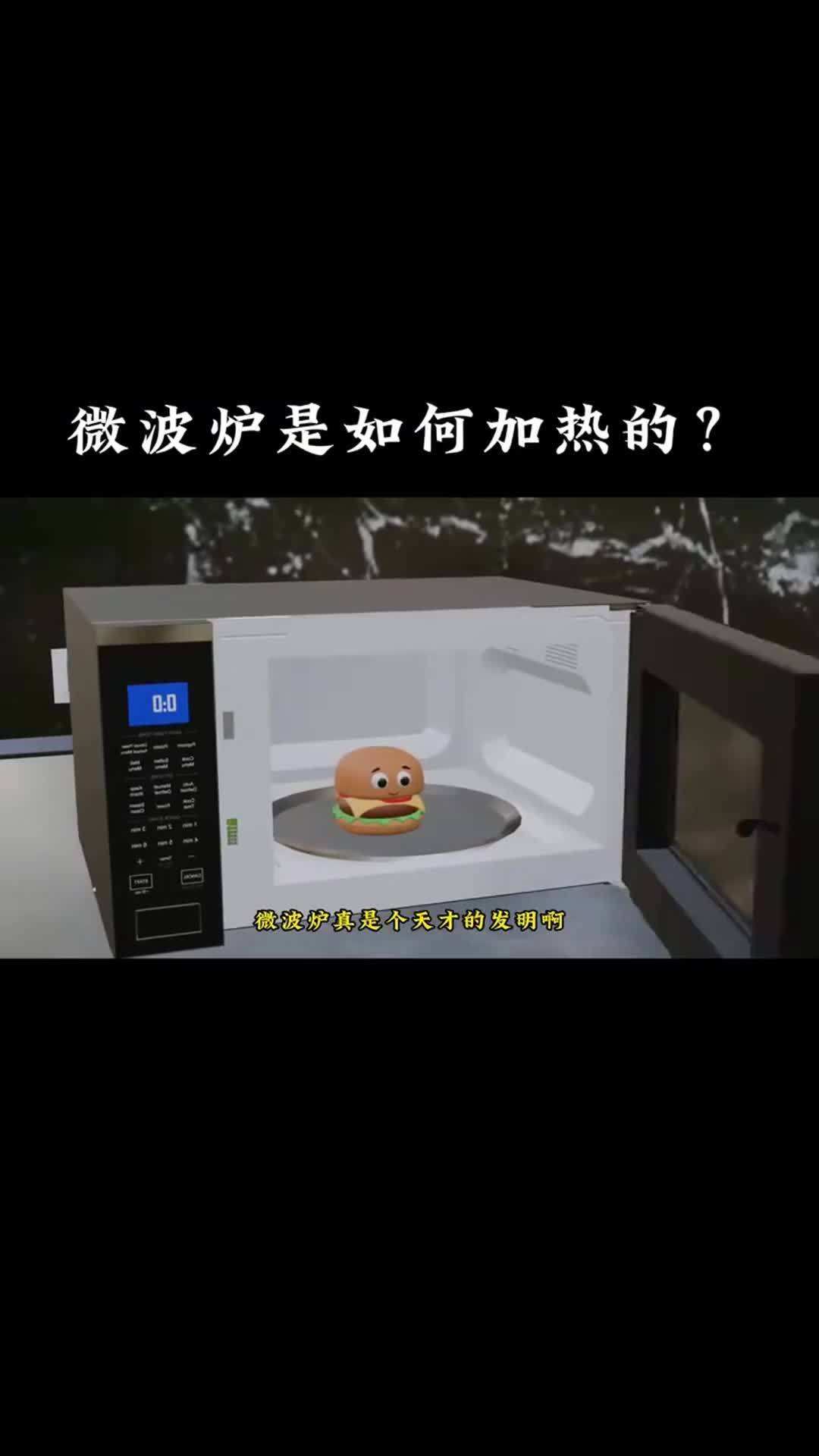 微波炉是如何加热食物的? #工作原理