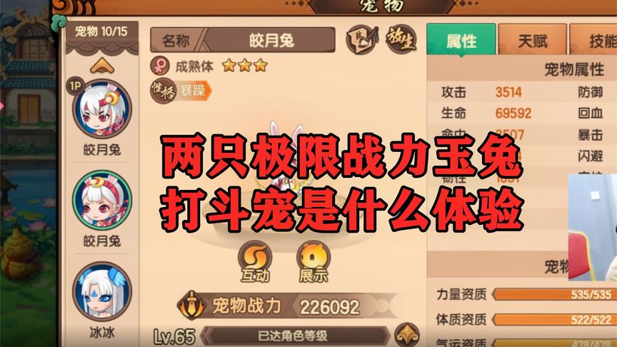 造梦无双两只极限战力玉兔打斗宠是什么体验