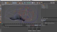C4D花瓣建模技巧.