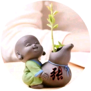一面湖水1977 