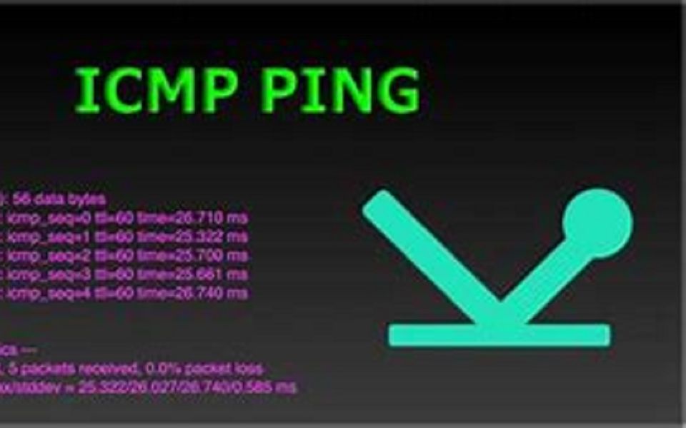10. W5100S/W5500+RP2040树莓派Pico《PING(ICMP) 检测网络连通...