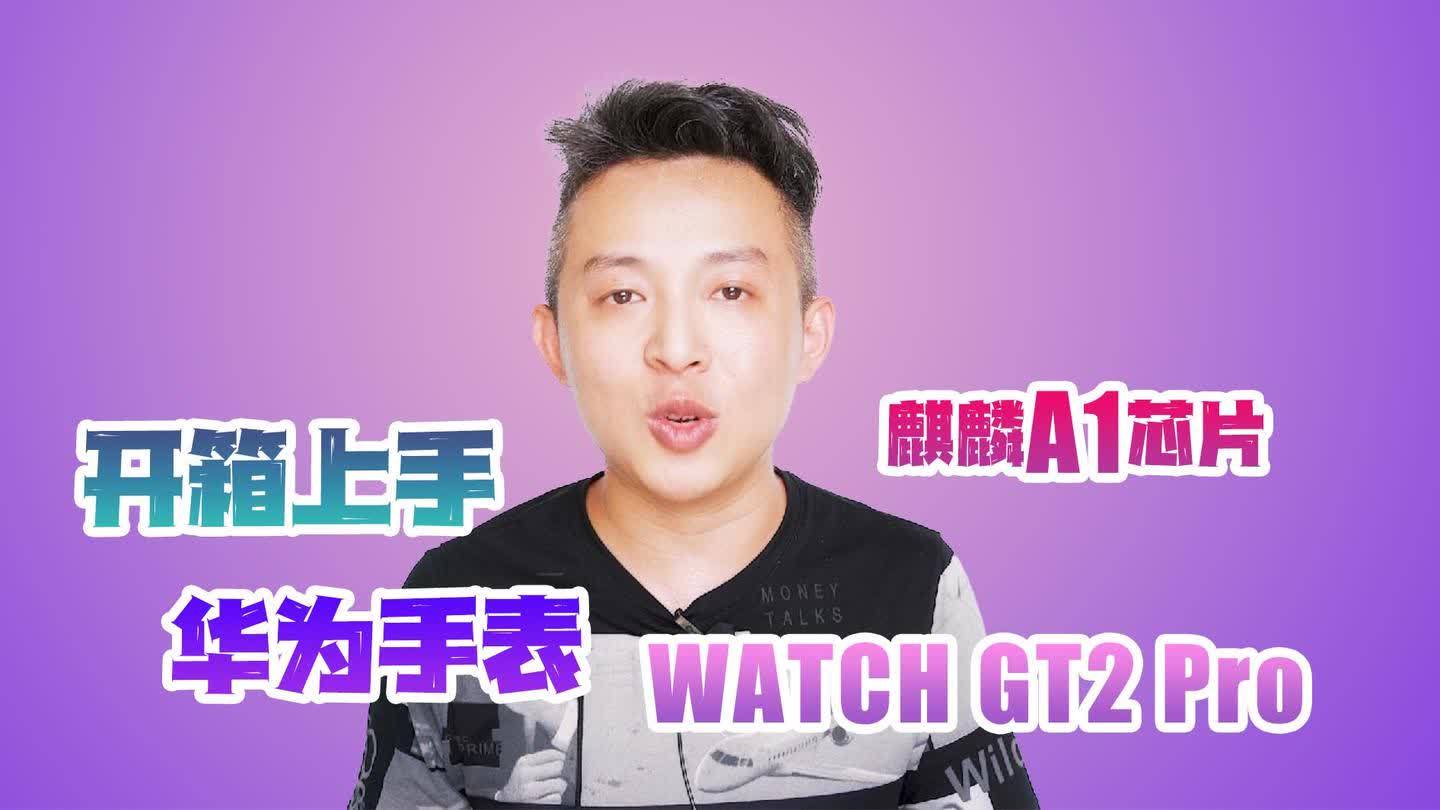 .华为智能手表WATCH GT 2 PRO.