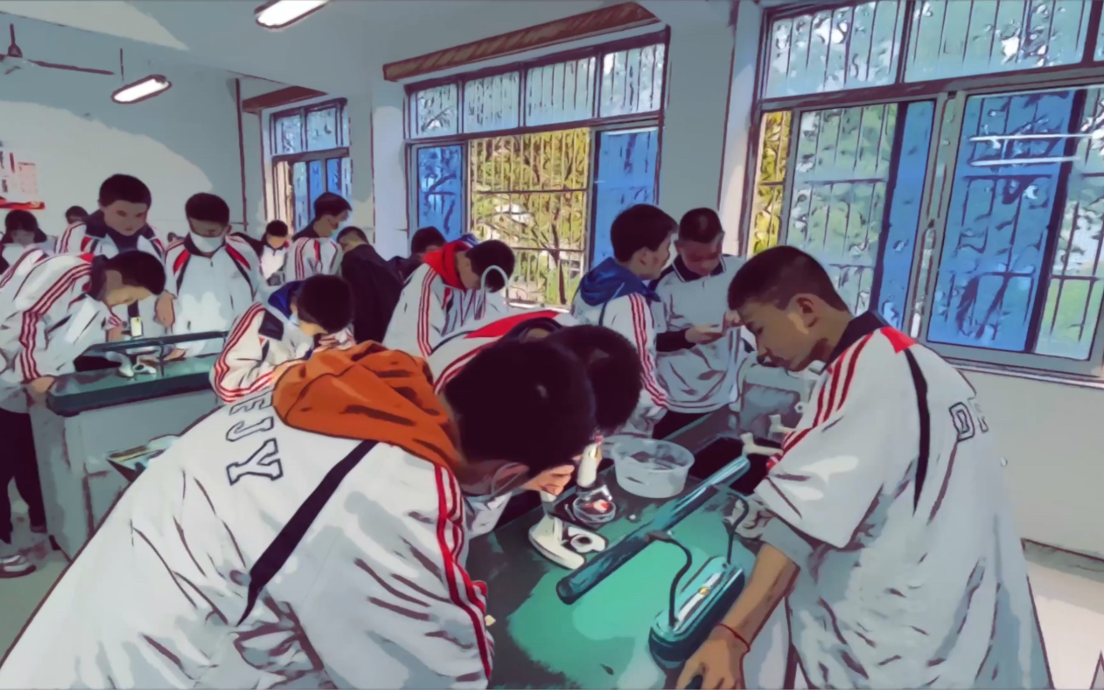 观察小鱼尾鳍血液流动