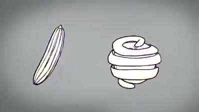 关于病毒传播,细思极恐的动画作品。