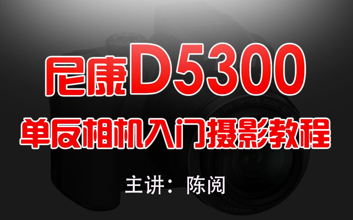 尼康D5300单反相机入门摄影教程_摄影技巧_拍照技巧_陈阅_尼康相机