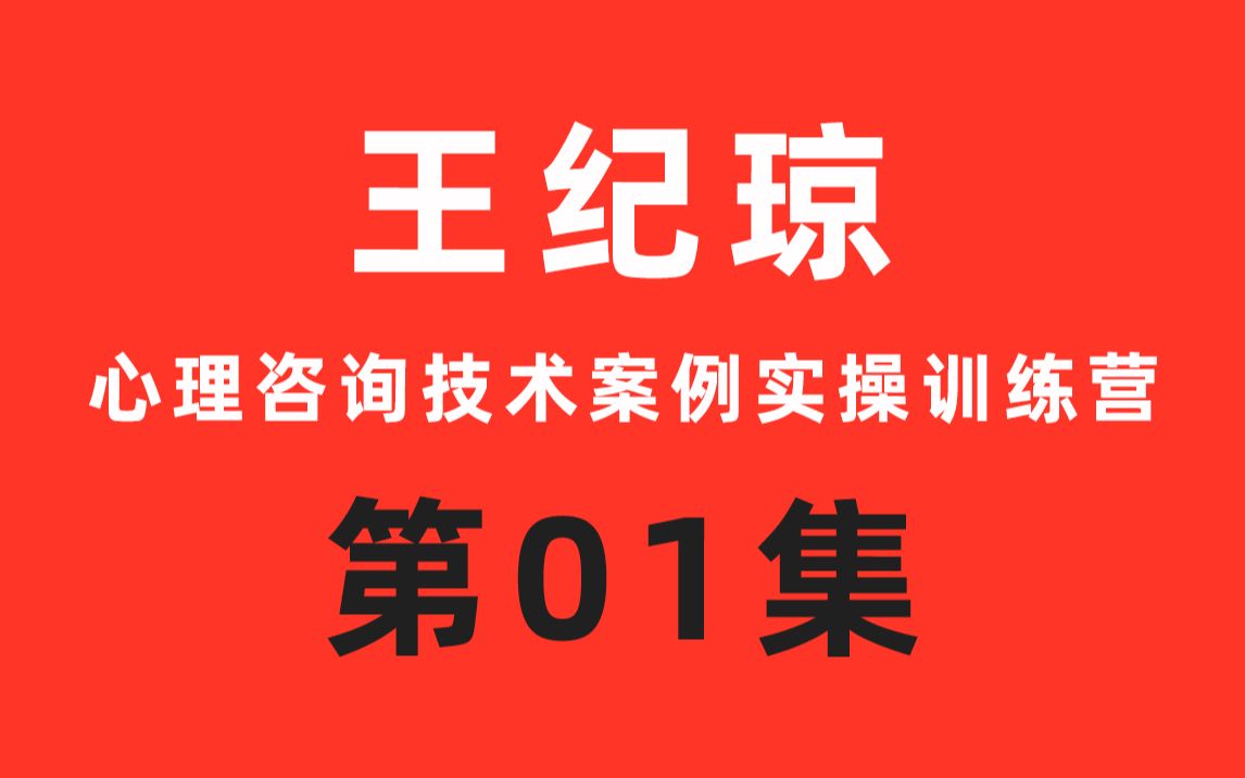 王纪琼心理咨询技术案例实操训练营第1集