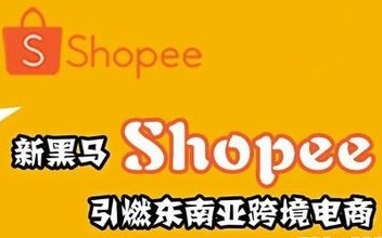 ...?东南亚电商巨头虾皮跨境电商】从资料准备-开店入驻-选品-运营-盈...