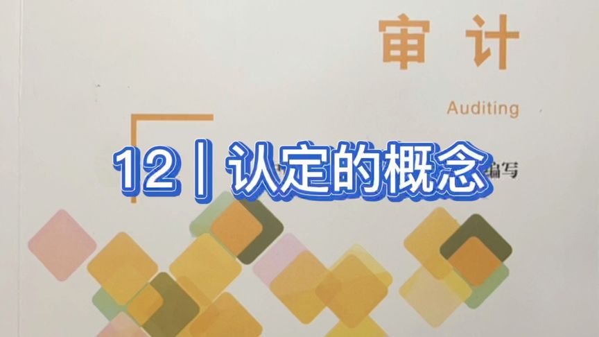 12|CPA《审计》认定的概念
