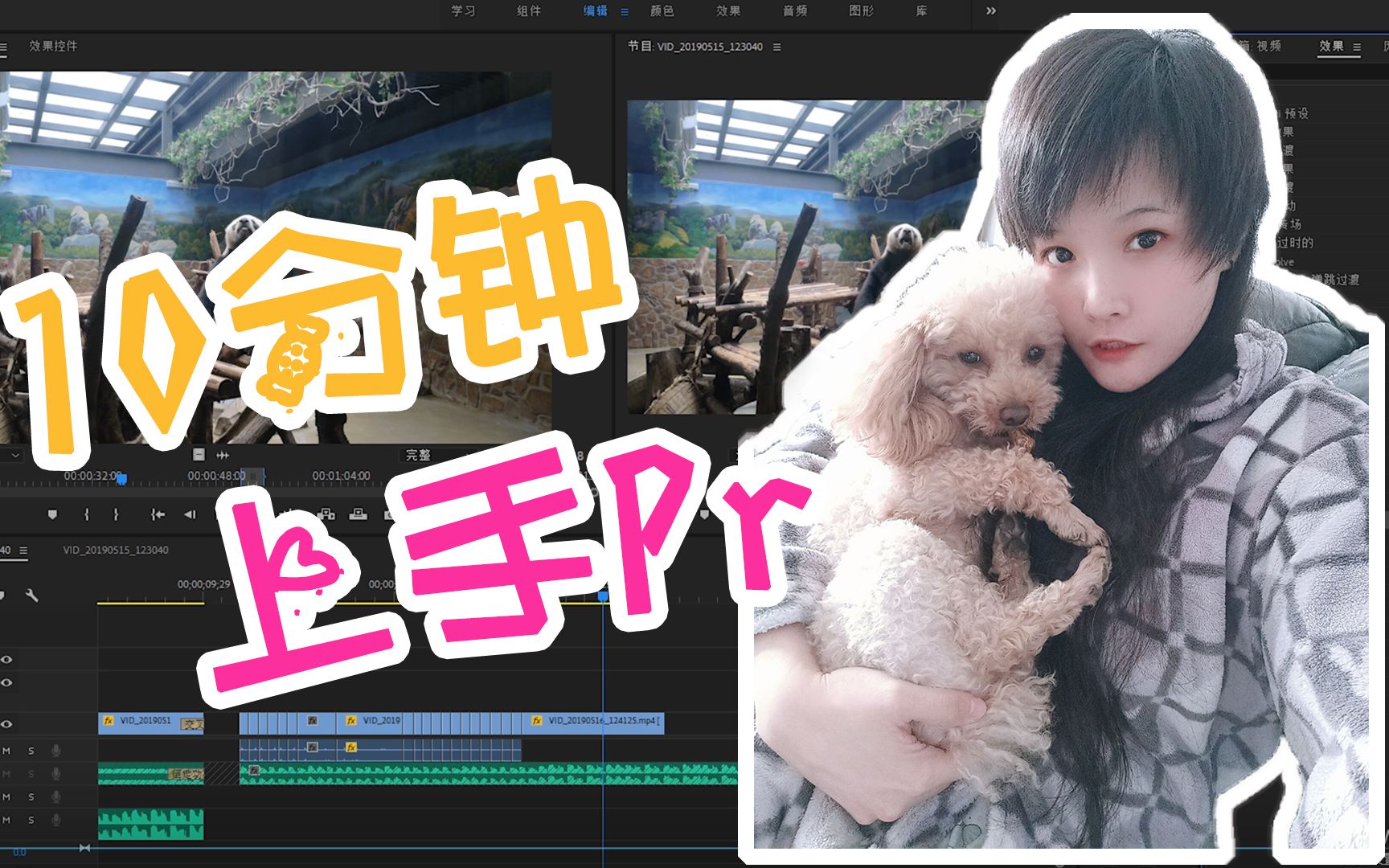 【PR教程】10分钟教你上手PR~真的非常简单!