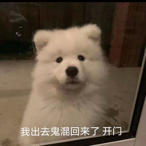 哒雅图 