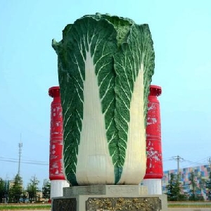 bili_1265244287 