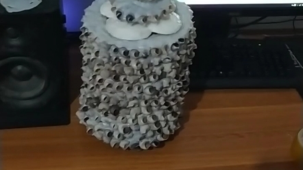 静态挠场产生器 电离辐射仪评测