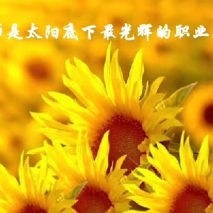 教师上岸记 