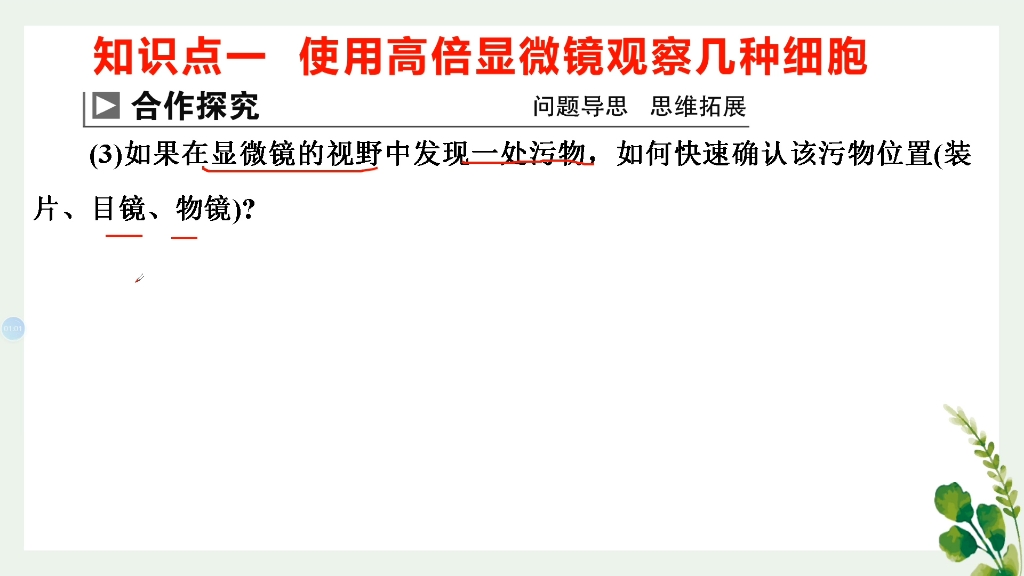 #高考#高中生物#新人教#使用高倍显微镜观察几种细胞