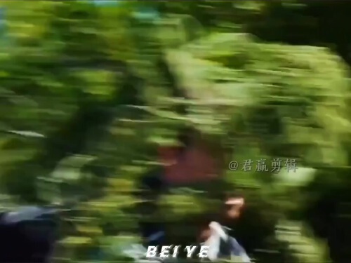 贝爷抓狮子是认真的贝爷君赢SFP团队